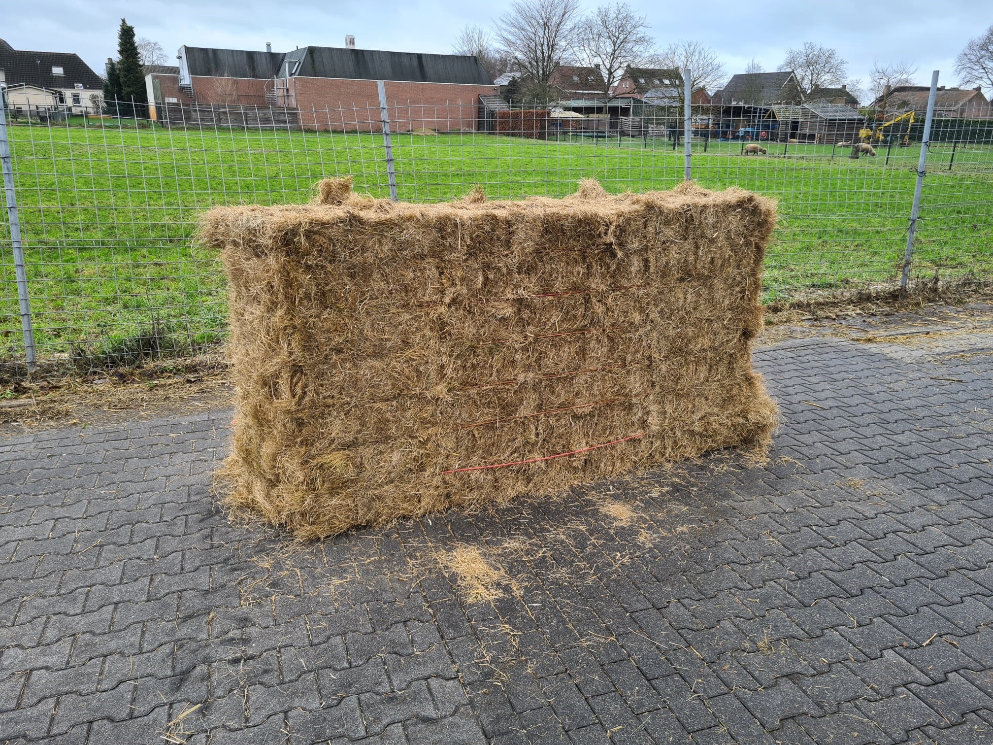 | Winkel | Hay to You