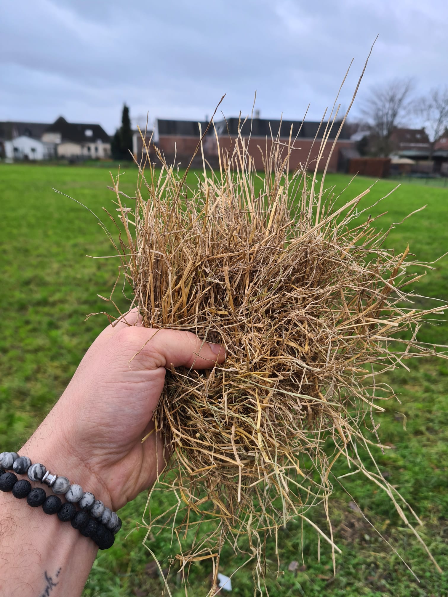 | Winkel | Hay to You