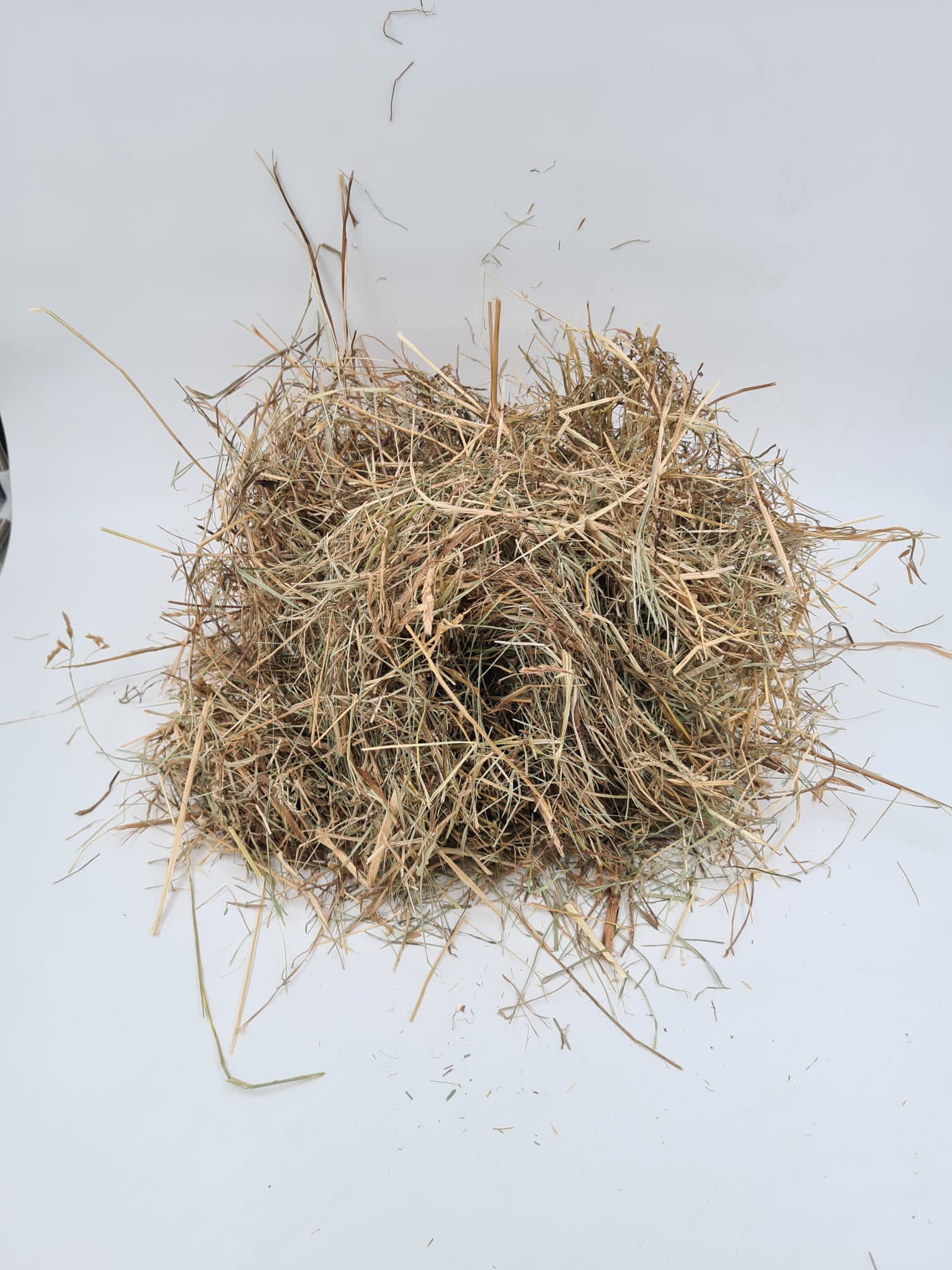 | Winkel | Hay to You
